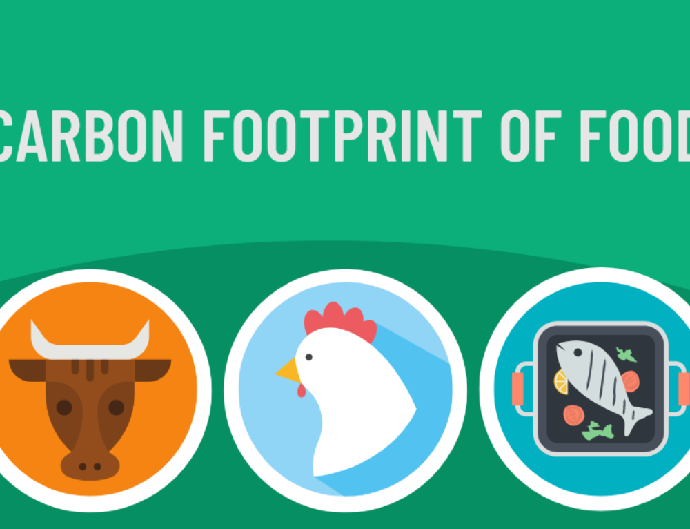 Five Steps for Sustainable Supply Chains – MeetGreen